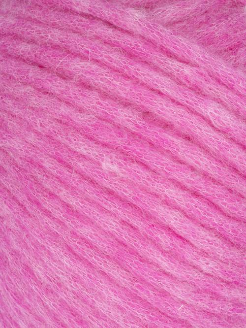 Beatrix – Freeman's Creative